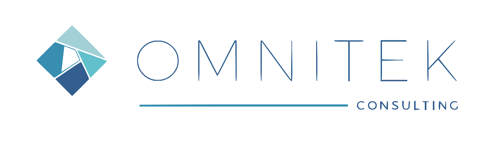 OmniTek Logo – OmniTek Consulting, Inc.